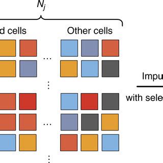 (PDF) An accurate and robust imputation method scImpute for single-cell RNA-seq data