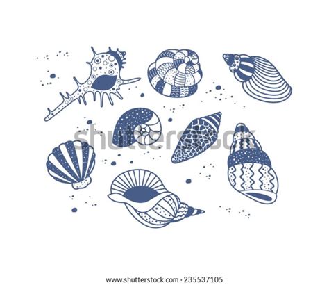 Cockleshell Blue Stock Vector Royalty Free 235537105 Shutterstock