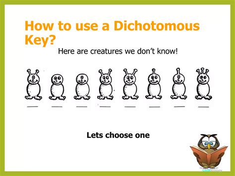 4 Grouping And Identifying Organisms Pptx