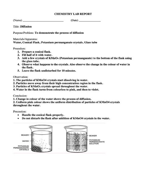 Lab Report Guided For Diffusion Pdf