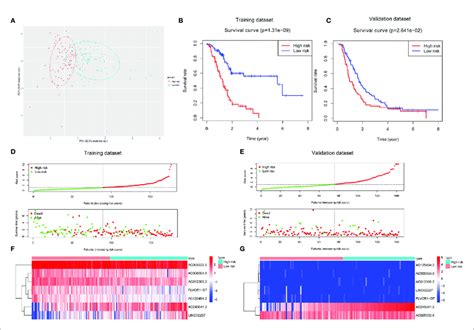 Construction And Validation Of A Prognostic Risk Score System For Pc