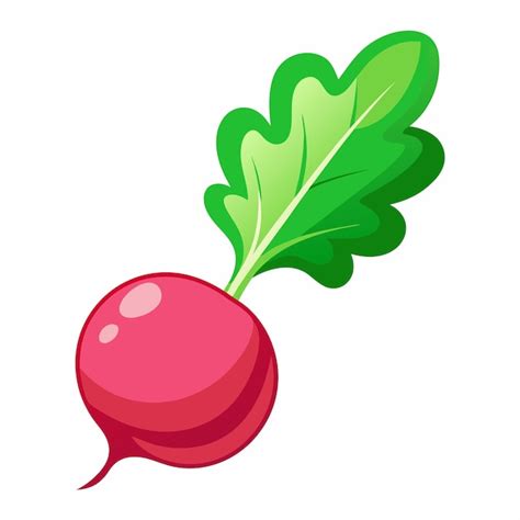 라디시 클리파트 Radish Clipart 만화 스타일의 터 일러스트레이션 프리미엄 벡터