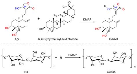 Scheme 4 General Reaction Of The Bagasse Xylan Andrographolide Download Scientific Diagram