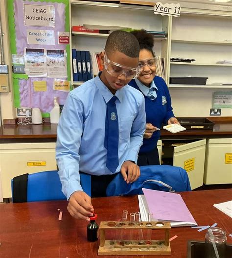 Year Science Acids And Alkalis Experiment