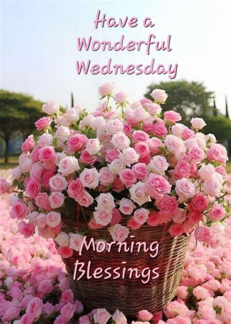 Pin By Gail Alexander On Good Day Morning Good Morning Beautiful