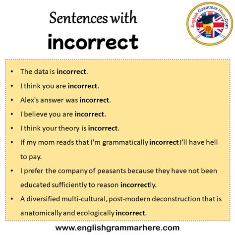 sentences with incorrect incorrect in a sentence in english sentences
