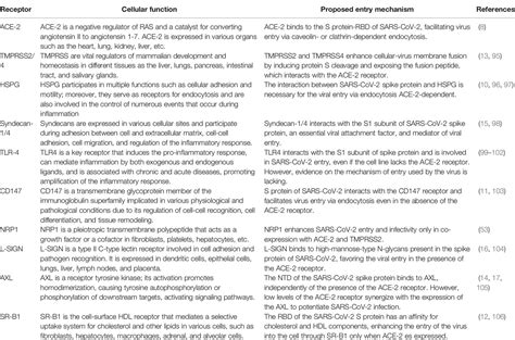 Frontiers Cholesterol Rich Lipid Rafts As Platforms For SARS CoV Entry