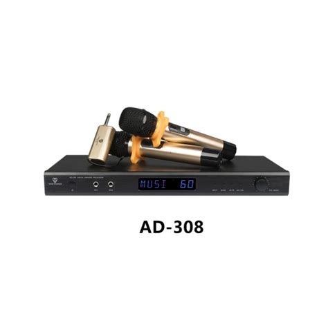 China Tonewinner 5 1 Karaoke Digital Signal Processor Manufactures Manufacturer