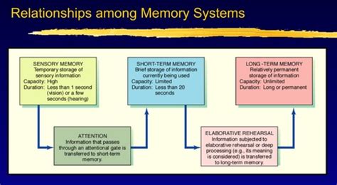 Consumer Behaviour Flashcards Quizlet