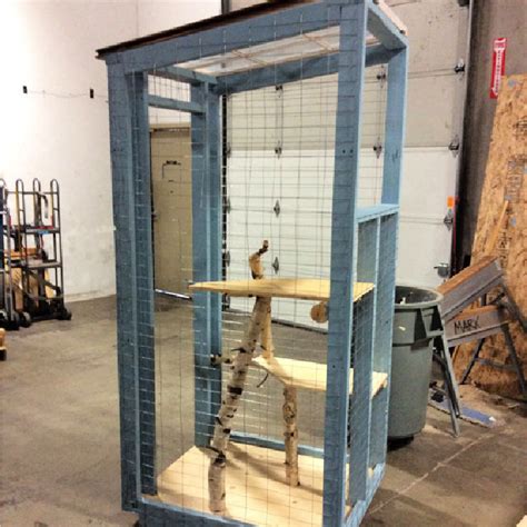 20 Free Diy Catio Plans Build Your Outdoor Cat Enclosure
