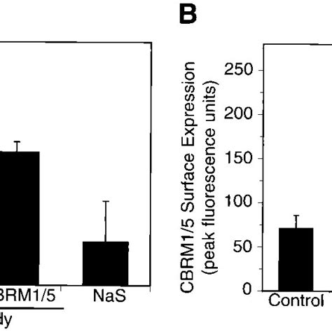 Wortmannin Does Not Inhibit Fmlpstimulated Expression Of An Download Scientific Diagram