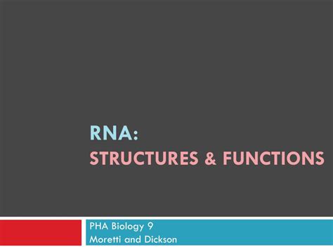 PPT RNA Structures Functions PowerPoint Presentation Free Download ID 1595152