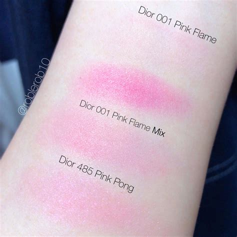 디올 2020 썸머룩 루즈블러쉬 485 핑퐁 And 미네랄 글로우 컬러게임 001 핑크플레임 쿨톤블러셔 비교발색 네이버 블로그
