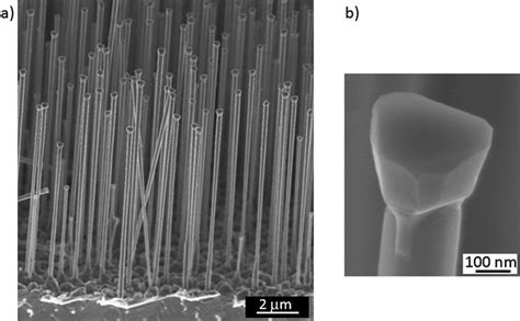A Cross Sectional Scanning Electron Micrograph Of Gaas Nanowires After Download Scientific