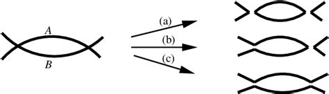 Figure 2 From Simplicial Structures Of Knot Complements Semantic Scholar