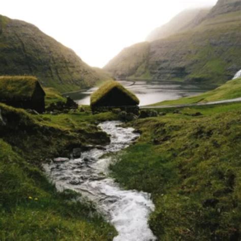 Haixiang Zhang Chongqing University Chongqing Cqu Department Of