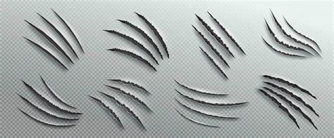 Realistic Set Of Animal Claw Marks 25449616 Vector Art At Vecteezy Realistic Set Of Animal Claw Marks 25449616 Vector Art At Vecteezy
