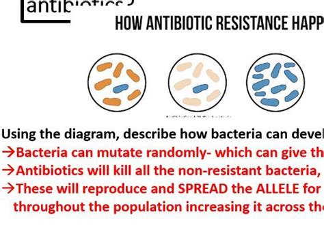Resistant Bacteria Gcse Biology Teaching Resources