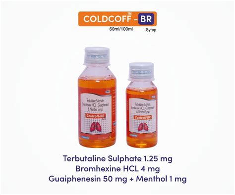 Terbutaline Bromhexine Hcl Guaiphenesin Menthol Syrup Packaging Size 100 Ml At Rs 85 Bottle In