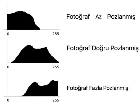 Histogram Nedir Fotoğrafçılıkta Nasıl Kullanılır Fotopedi