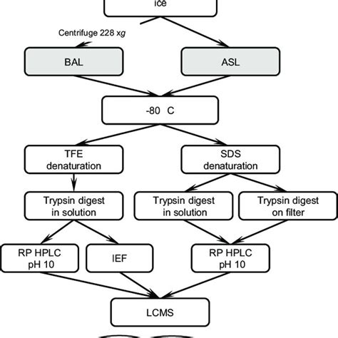 Workflow For Collection Processing And Mass Spectrometric Analyses Of Download Scientific