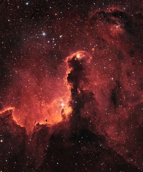 Rcw 75 Telescope Live