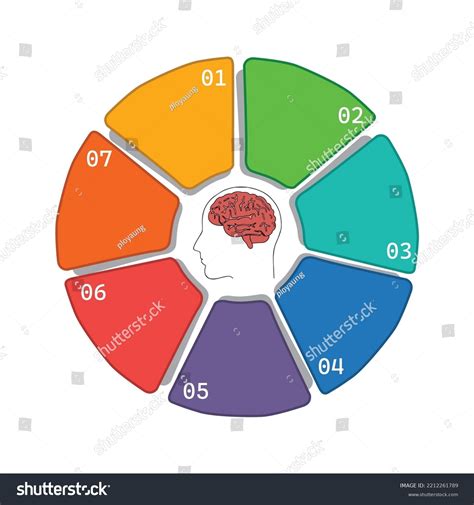 7 Step Infographic Business Data Circle Stock Vector Royalty Free 2212261789 Shutterstock
