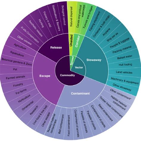 Convention On Biological Diversity Cbd Pathway Classification Download Scientific Diagram