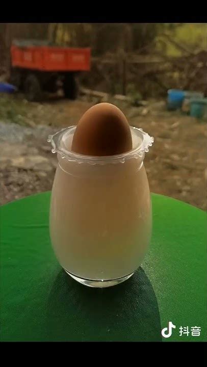 우유컵에 계란 떨어뜨리기 Shorts Youtube