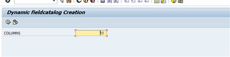 An SAP Consultant ABAP Dynamic Fieldcatalog Creation And Displaying