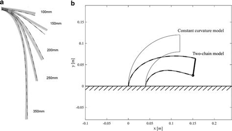 Simulation Results Of The Model A Comparison Of The Static Solution