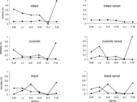 Temporal Variation In Mortality Percentages Of Tillandsia Brachycaulos Download Scientific