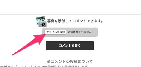 Seleniumでファイルがアップロードできない時の対処法 ダーフクcom