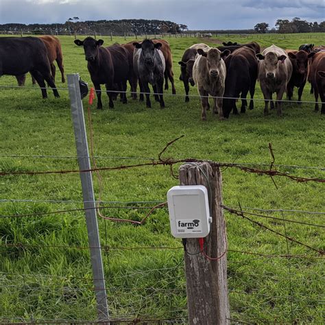 Electric Fence Sensor Farmo Iot Solutions For Agritech And Smart Cities