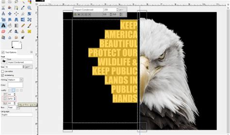 GIMP Tutorial How To Create A Text Portrait Poster Davies Media Design
