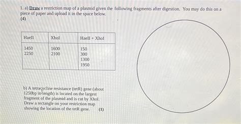 [solved] 1 A Draw A Restriction Map Of A Plasmid Given The Following Course Hero