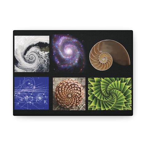 Fibonacci Sequence Sacred Geometry Flower Of Life Golden Ratio Geometrical Wall Art Hangning