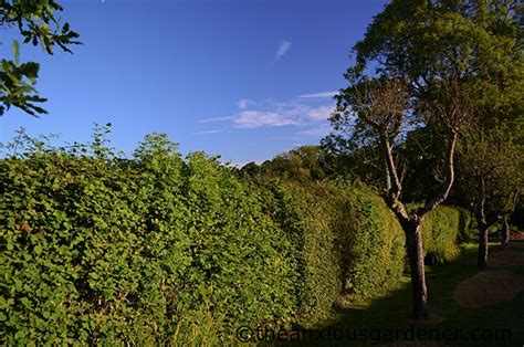 stacking functions increasing yields and decreasing labor with multi function elements the