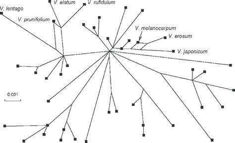 Split Decomposition Analysis Based On The Hamming Distance For 1687