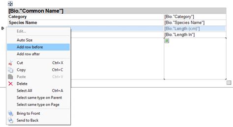 how to use the new table object in fastreport vcl 6 fast reports
