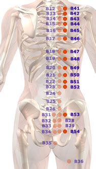 Yinyangmedi Akupunktur KrÃ¤uter Massage SchrÃ¶pfen Yinyangmedi Ch