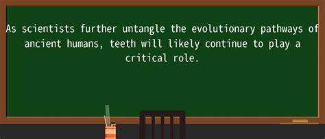 【英语单词】彻底解释“evolutionary Pathways”！ 含义、用法、例句、如何记忆