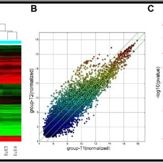 Circular RNA CircRNA Expression Patterns In The Ovarian Ectopic Download Scientific Diagram