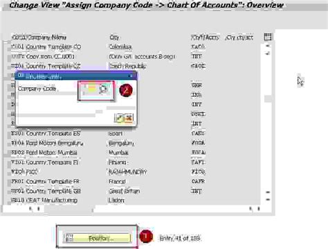 how to define chart of accounts in sap and assign company code