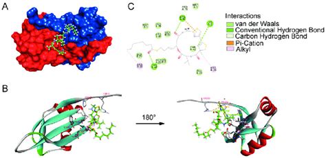 Docking Analysis Between Largazole And The Human Msi2 Protein The