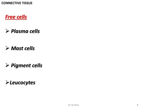Connective Tissue Fixed Cells Histology Ppt