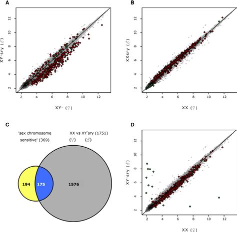 Sexual Dimorphism In Mammalian Autosomal Gene Regulation Is Determined Not Only By Sry But By