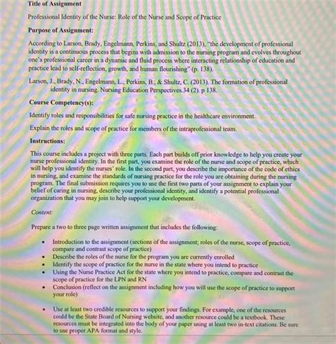 Solved Title Of Assignment Professional Identity Of The