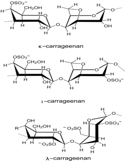 用于直接测定角叉菜胶的新型dna生物传感器。 Scientific Reports X Mol