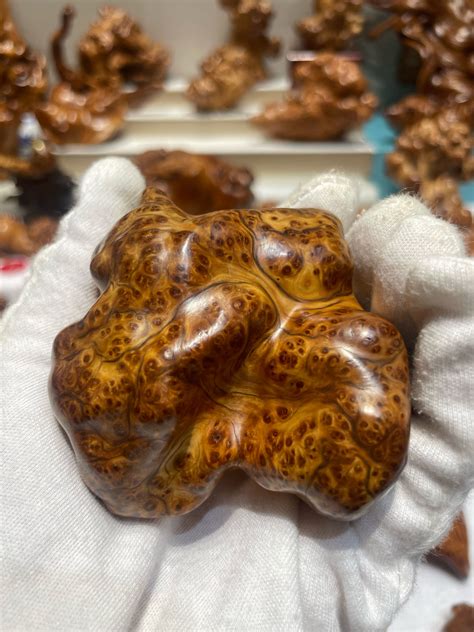 太行崖柏陈华留疤手：岁月雕刻的艺术品，你值得拥有的收藏级手串！ 崖柏 淘宝好物网